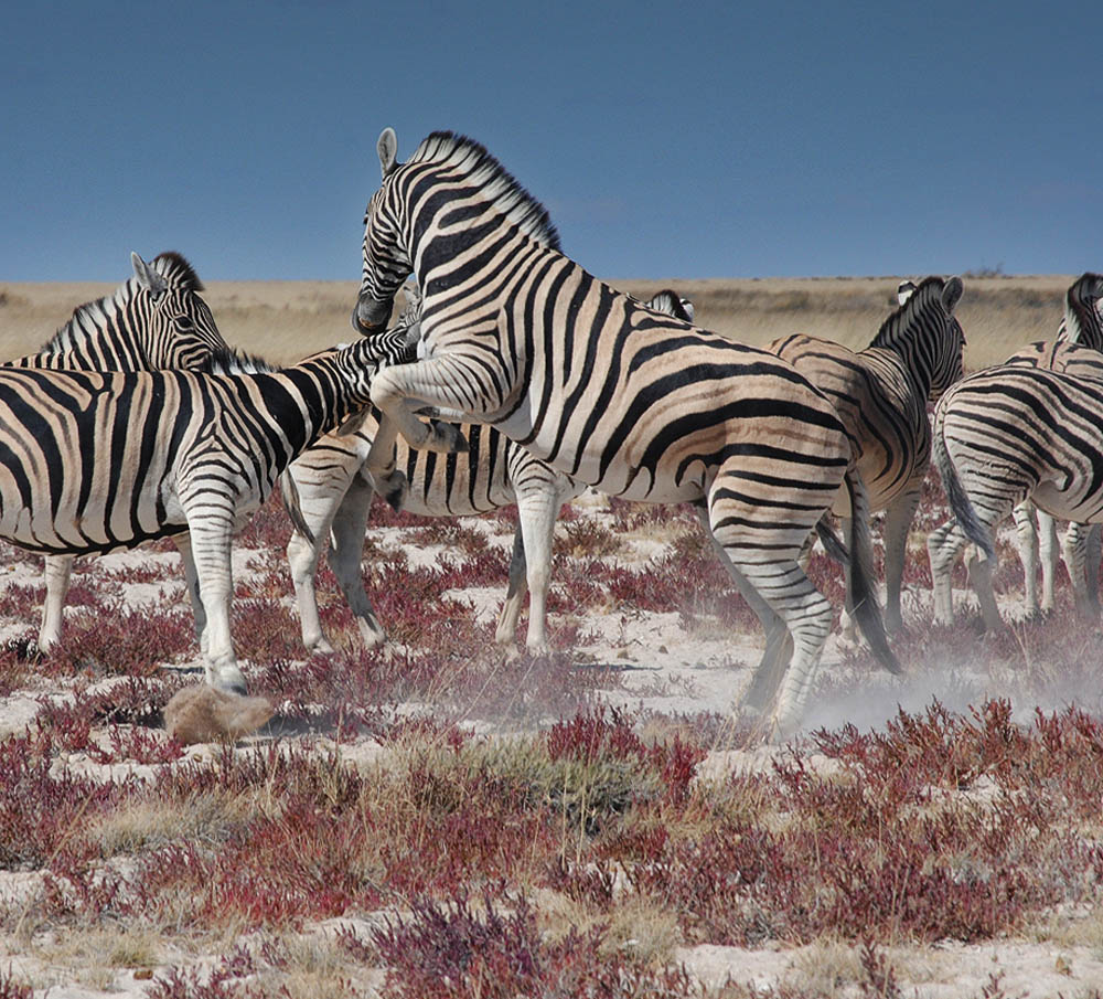Doctors in rural South Africa: Beyond the Kei - Adventure Medic