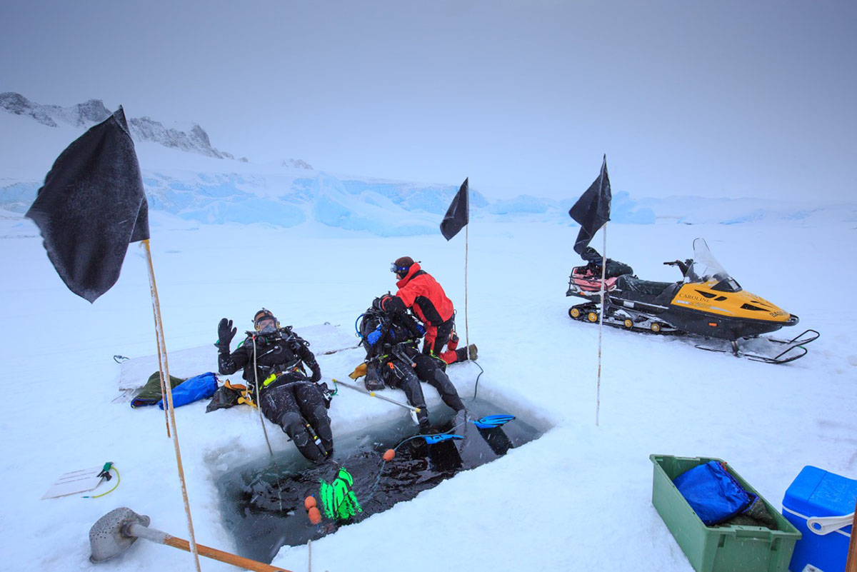 Diving: Managing Decompression Illness in Remote Locations - Adventure ...